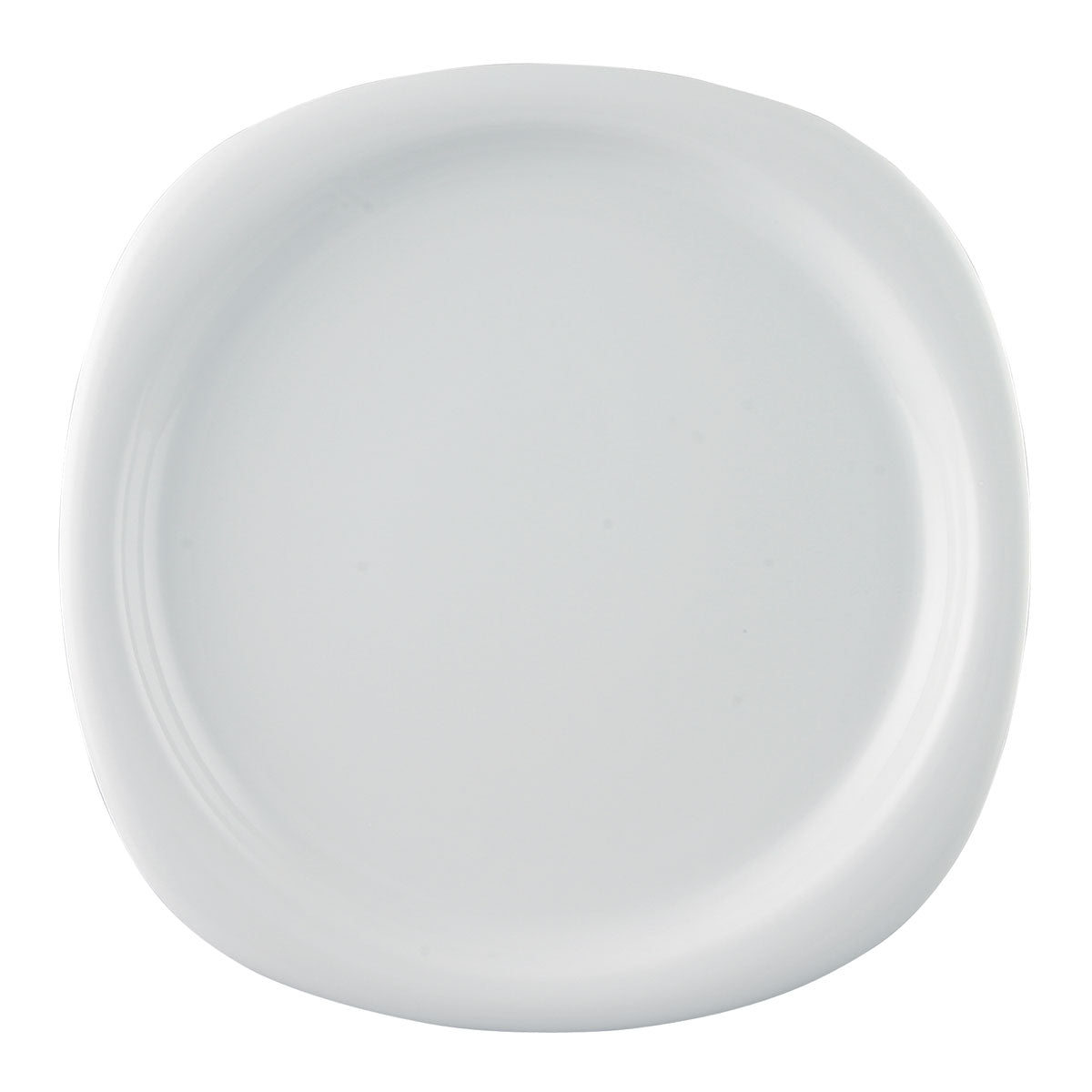 Rosenthal Suomi Large Dinner Plate - Rosenthal Suomi Dinnerware – FinnStyle